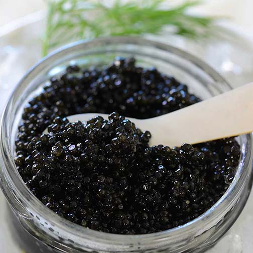 Order Emperior Hackleback Malossol Caviar - Gourmet Food Store