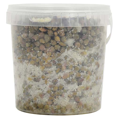 GourmetFoodStore.com - Capers in Salt