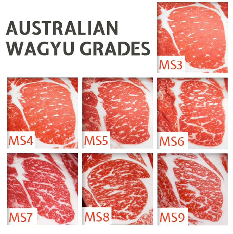 Wagyu Beef Marbling Marbled Beef Marble Score wagyu-beef-marbling-marbled-beef-marble-score